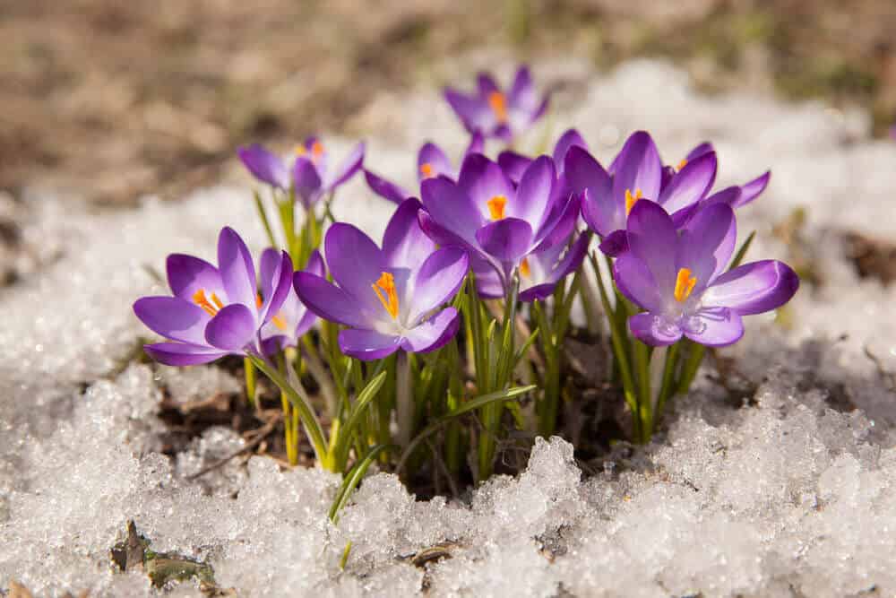 Easter Leisure Activities For Adults Leisure Answers Easter Leisure Activities For Adults Leisure Answers